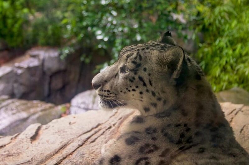NYC: Central Park Zoo Entry Ticket & Manhattan Walking Tour - What Travelers Are Saying