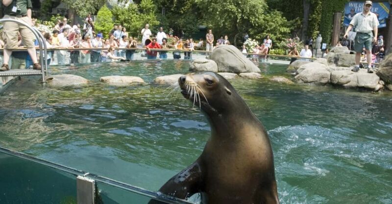 NYC: Central Park Zoo Entry Ticket & Manhattan Walking Tour - FAQ