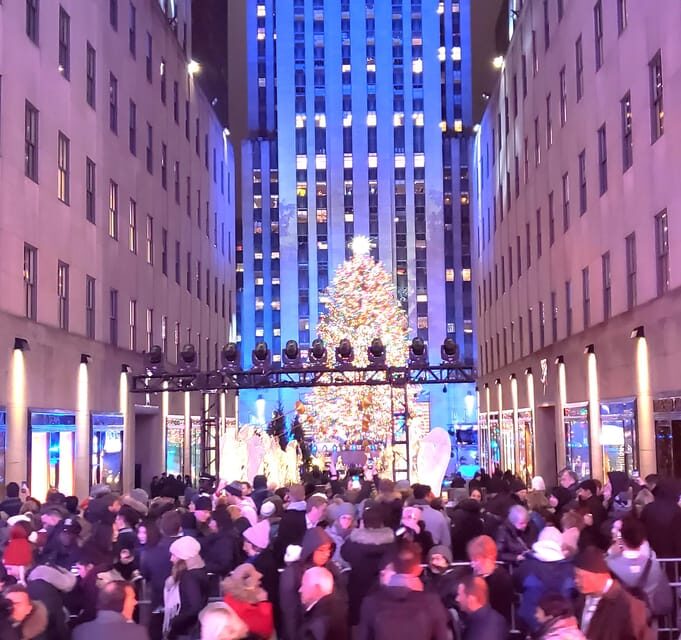 NYC: Christmas Lights Horse Carriage Ride - A Detailed Look at this Festive NYC Tour