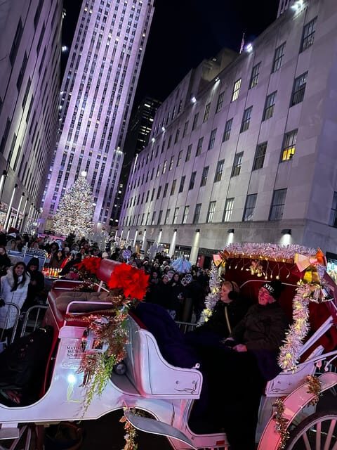 NYC: Christmas Lights Horse Carriage Ride - The Itinerary: What’s Included & What to Expect