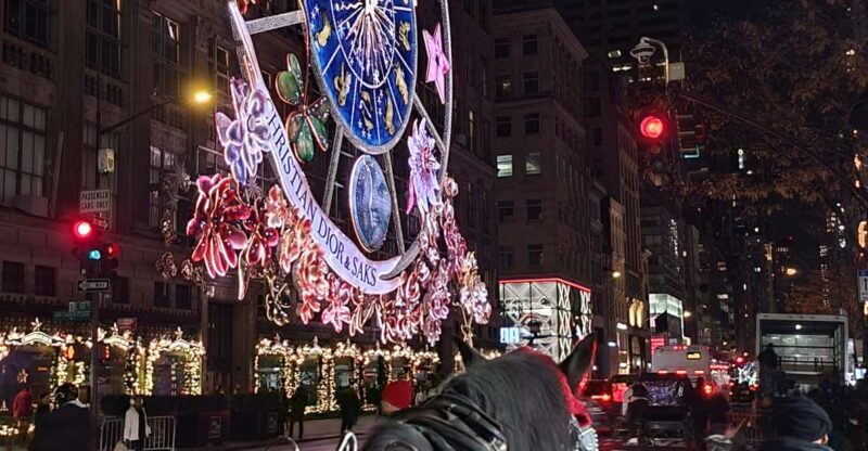 NYC: Christmas Lights Horse Carriage Ride - The Final Word