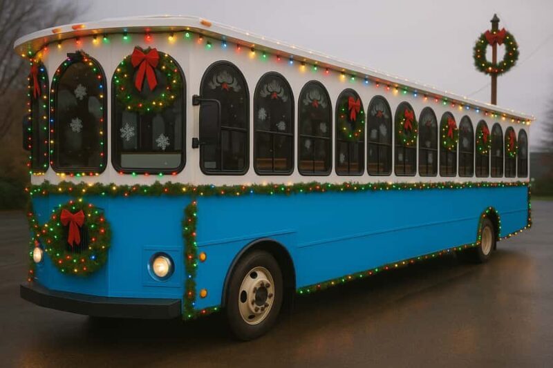 NYC: Dyker Heights Christmas Lights Trolley Tour - Key Points