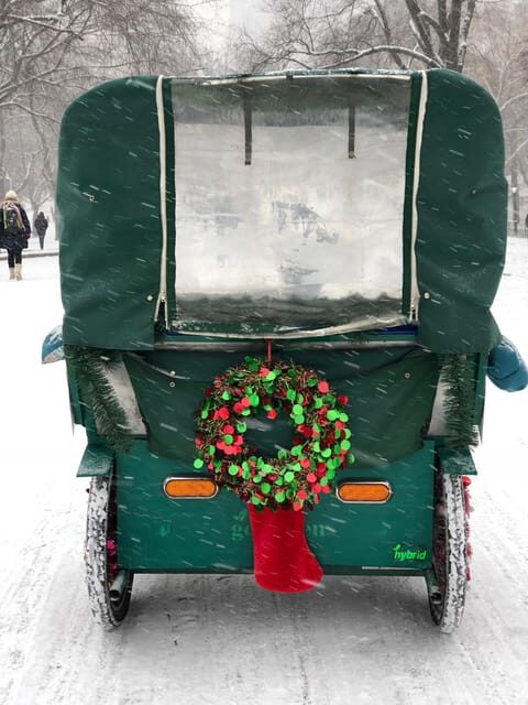 NYC: Elf & Home Alone 2 Locations Central Park Pedicab Tour - The Guide and the Atmosphere
