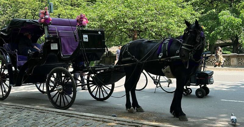 NYC: Empire State Horses Carriage Ride in Central Park - Authenticity and Reviews Summary