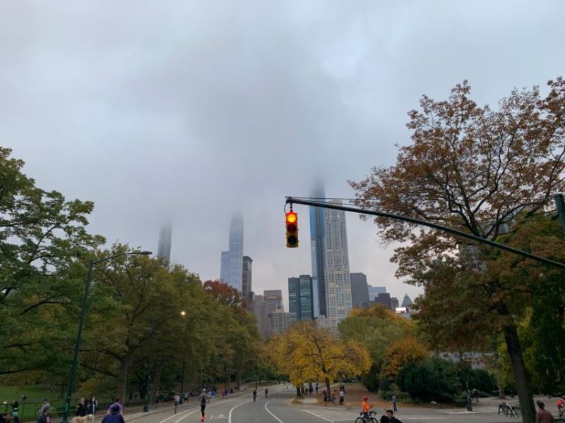 NYC: Empire State Horses Carriage Ride in Central Park - Final Thoughts