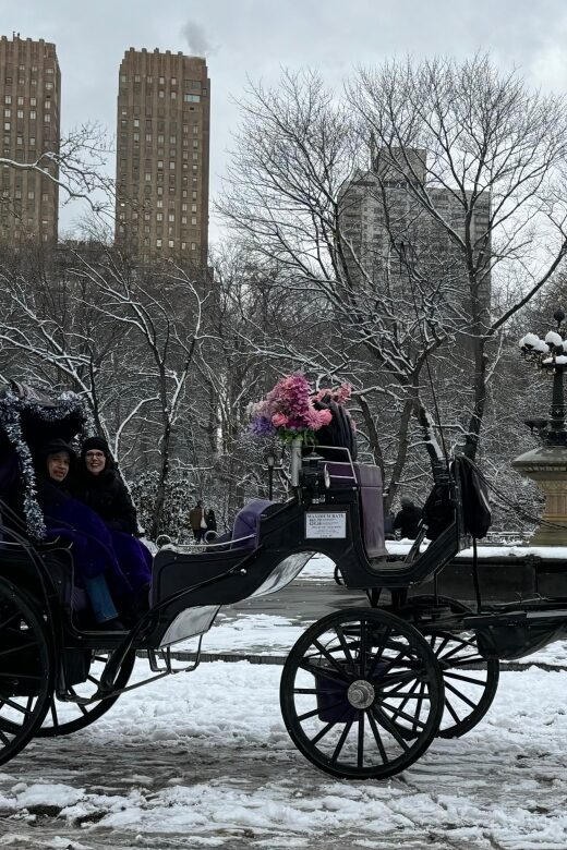 NYC: Empire State Horses Carriage Ride in Central Park - FAQs