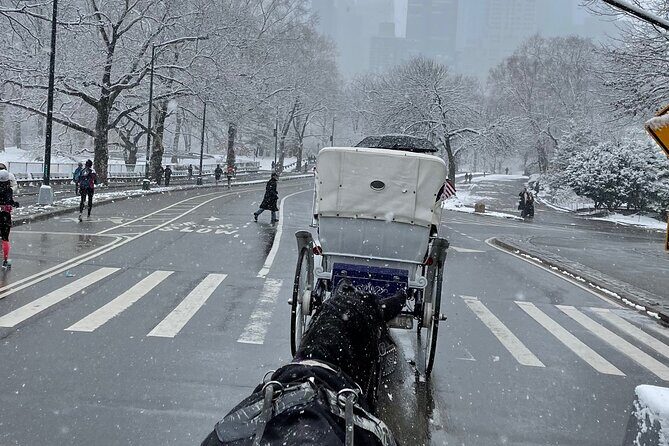 NYC Empire State Horses Carriage Ride in Central Park(55 Min) - A Cozy Horse-Drawn Escape: Central Park Carriage Ride Review
