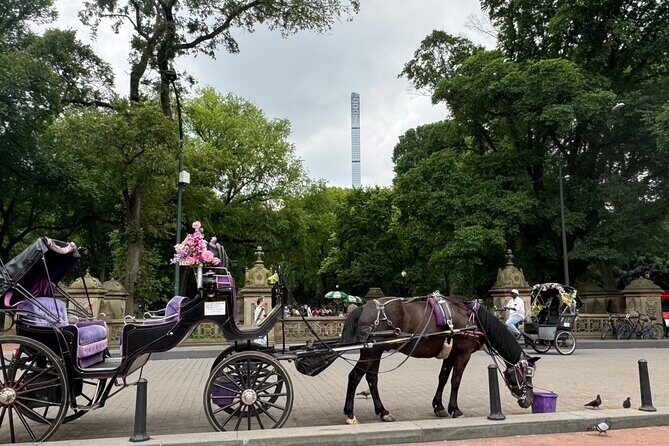NYC Empire State Horses Carriage Ride in Central Park(55 Min) - FAQ