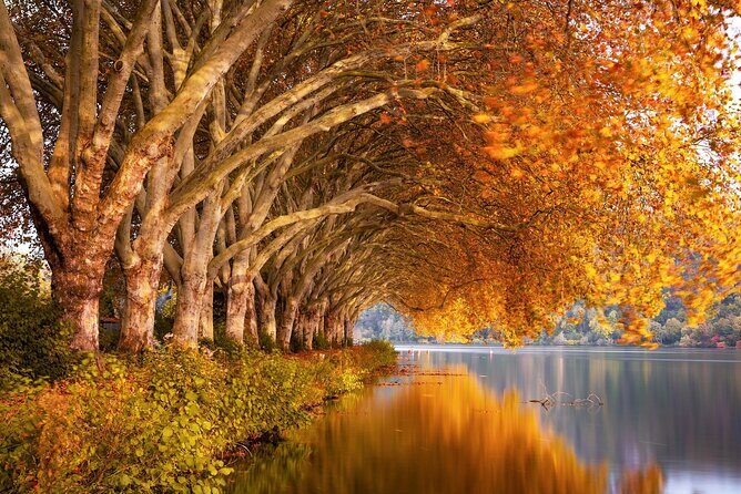 NYC Fall Foliage Cruise - An Overview of the NYC Fall Foliage Cruise