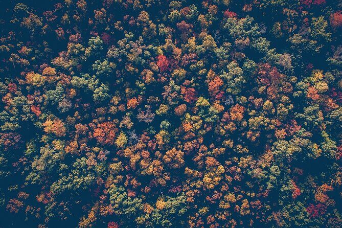 NYC Fall Foliage Cruise - The Experience: Pros and Cons