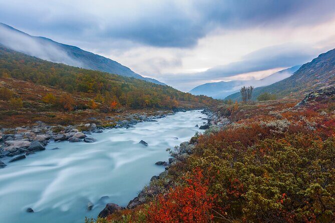 NYC Fall Foliage Cruise - Practical Tips