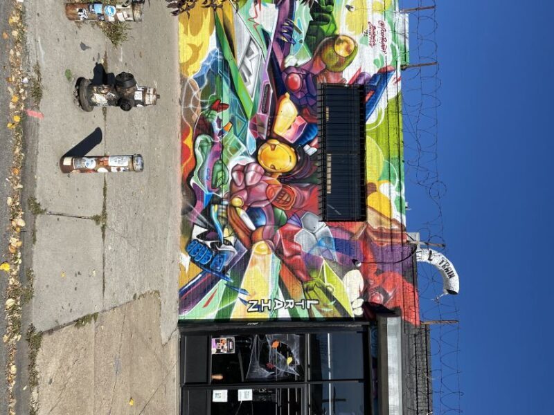 NYC | French guided tour Bushwick & Williamsburg - Who Would Love This Tour?