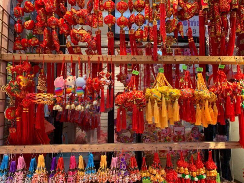 NYC | French guided tour Greenwich Village through Chinatown - What to Expect from This Tour