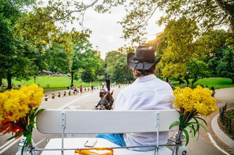 NYC: Guided Central Park Horse Carriage Ride - Key Points