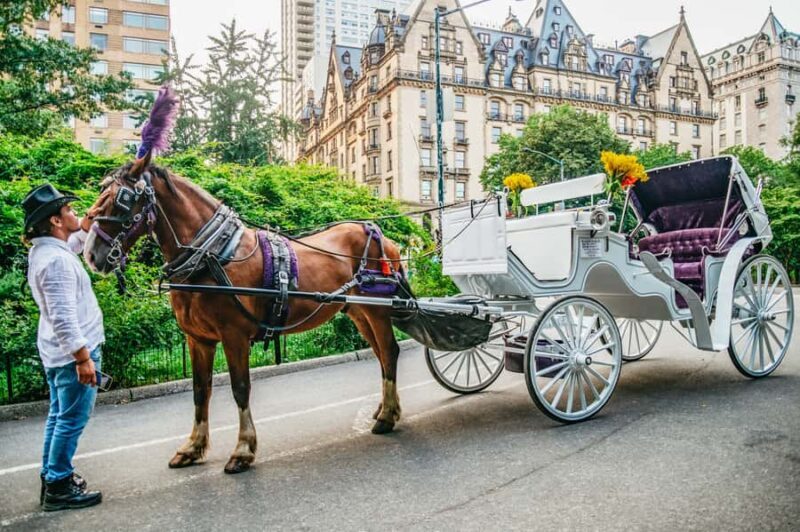 NYC: Guided Central Park Horse Carriage Ride - An inviting way to see Central Park