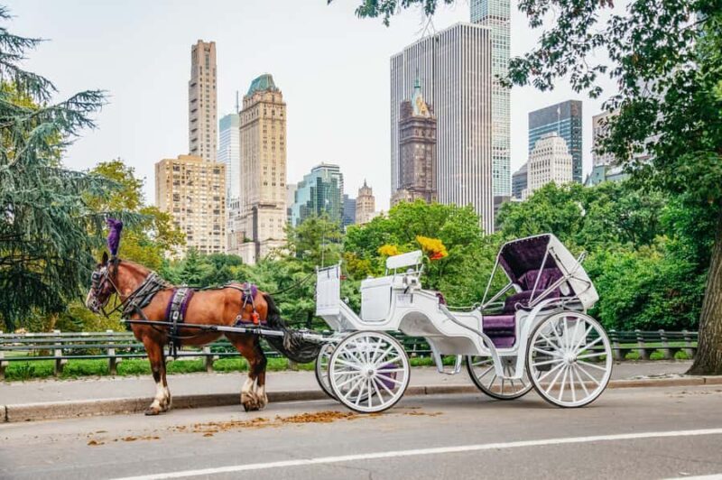 NYC: Guided Central Park Horse Carriage Ride - Pricing and Value