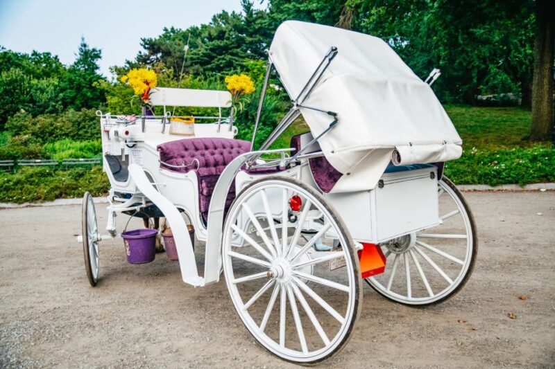 NYC: Guided Central Park Horse Carriage Ride - The Experience of the Ride: Comfort and Personal Touches