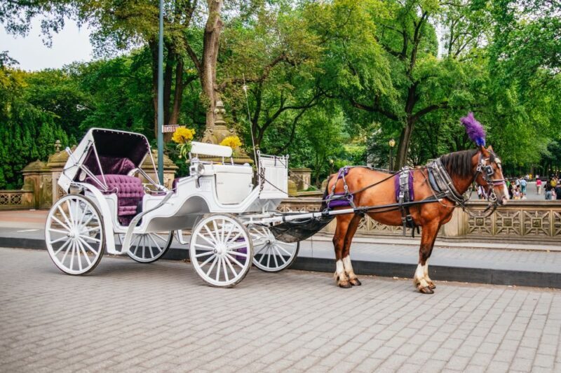 NYC: Guided Central Park Horse Carriage Ride - The Value of the Experience