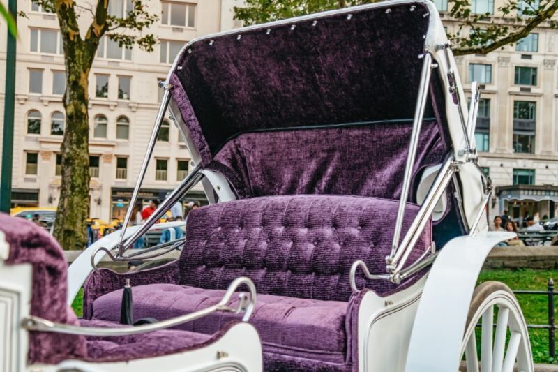 NYC: Guided Central Park Horse Carriage Ride - Reviews and Testimonials: Authentic Voices