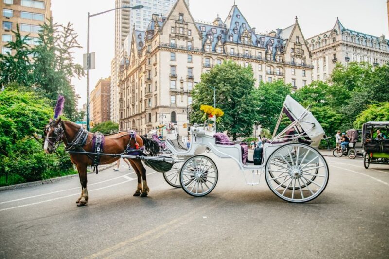NYC: Guided Central Park Horse Carriage Ride - Practical Details: What You Need to Know