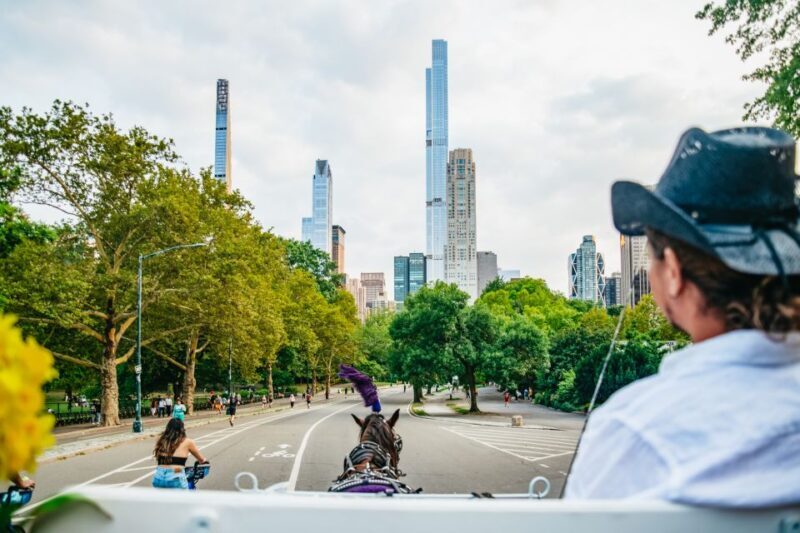 NYC: Guided Central Park Horse Carriage Ride - The Sum Up