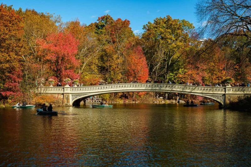 NYC: Guided Central Park Private Pedicab Tour - The Itinerary: A Sample of What You’ll See