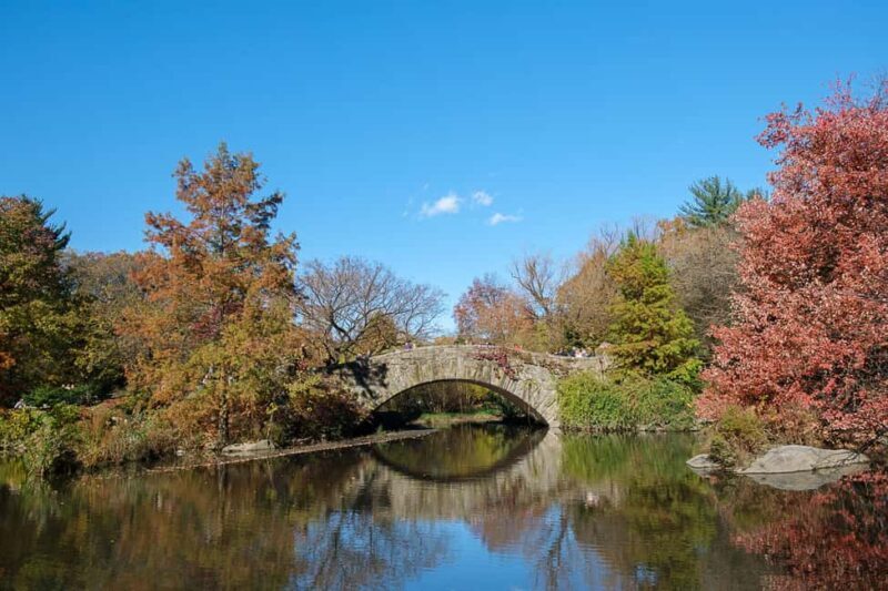 NYC: Guided Central Park Private Pedicab Tour - The Ride Experience: Comfort and Convenience