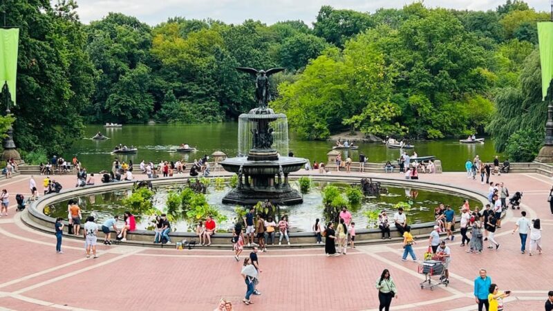 NYC: Guided Central Park Private Pedicab Tour - Key Points