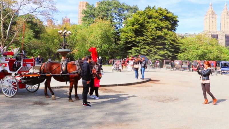 NYC: Guided Standard Central Park Carriage Ride (4 Adults) - Why a Horse-Drawn Carriage Ride Is a Classic NYC Experience