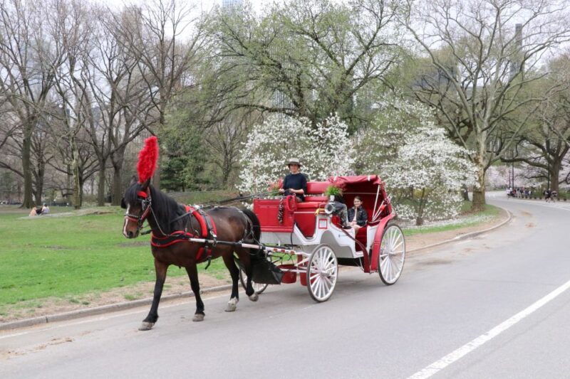 NYC: Guided Standard Central Park Carriage Ride (4 Adults) - What Makes This Tour Stand Out