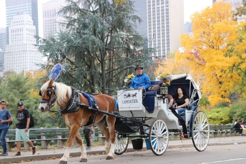 NYC: Guided Standard Central Park Carriage Ride (4 Adults) - Authentic Experiences from Past Travelers