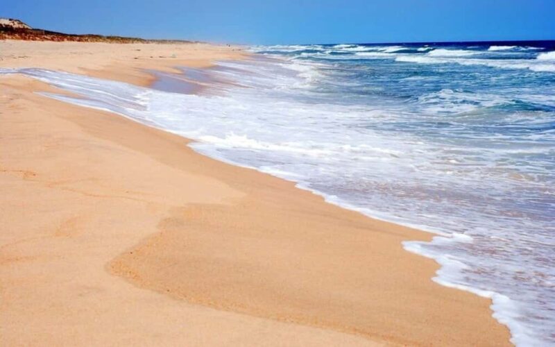 NYC: Hamptons Private Day Tour - Key Points