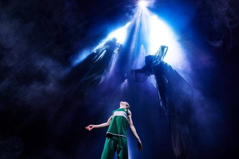 NYC: Harry Potter and the Cursed Child on Broadway - The Sum Up: Who Should Consider This Experience?