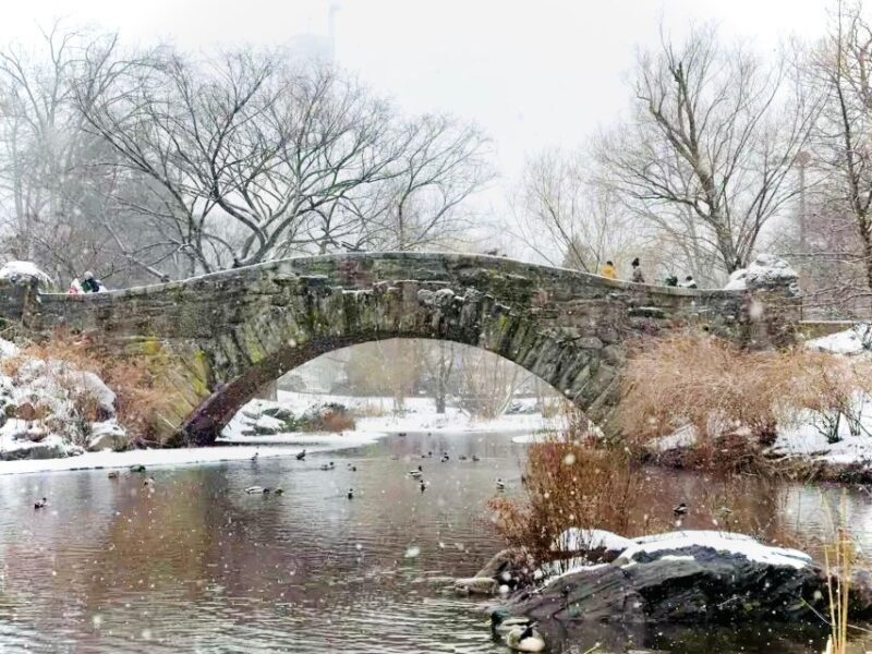 NYC: Home Alone 2 and Elf Tour in Central Park - Key Points