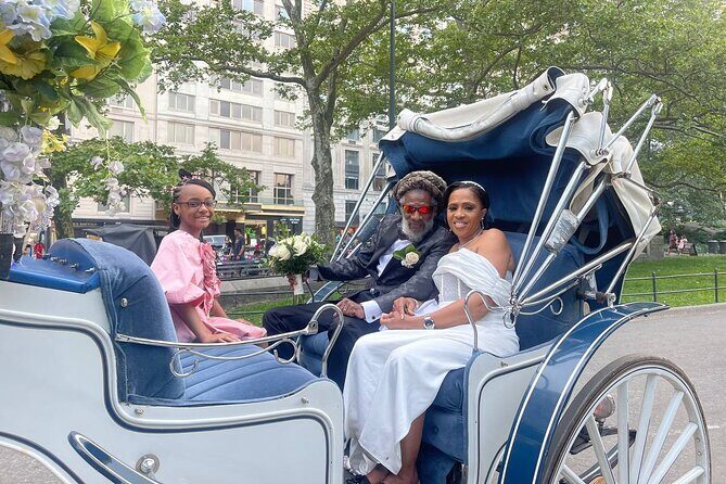 NYC Horse and Carriage Central Park Tours - Authentic Feedback from Travelers