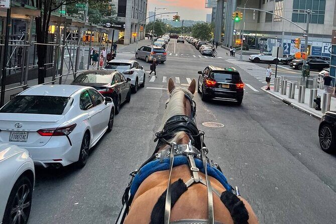 NYC Horse and Carriage Central Park Tours - Who Will Enjoy This Tour?