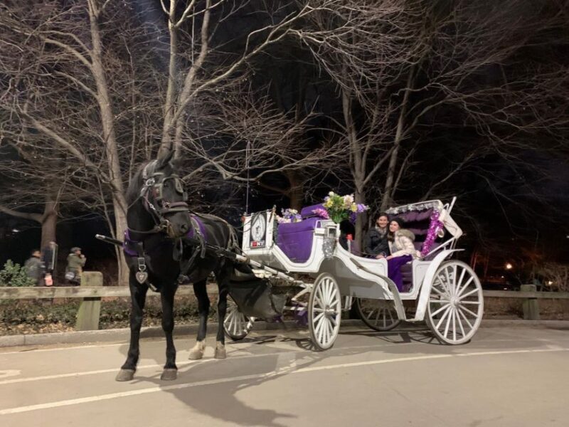 NYC Horse Carriage Ride in Central Park (65 min) - A Close Look at the Central Park Horse Carriage Ride