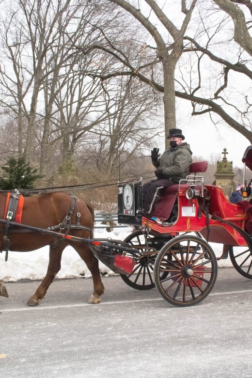 NYC Horse Carriage Ride in Central Park (65 min) - The Sum Up: Is It Worth It?