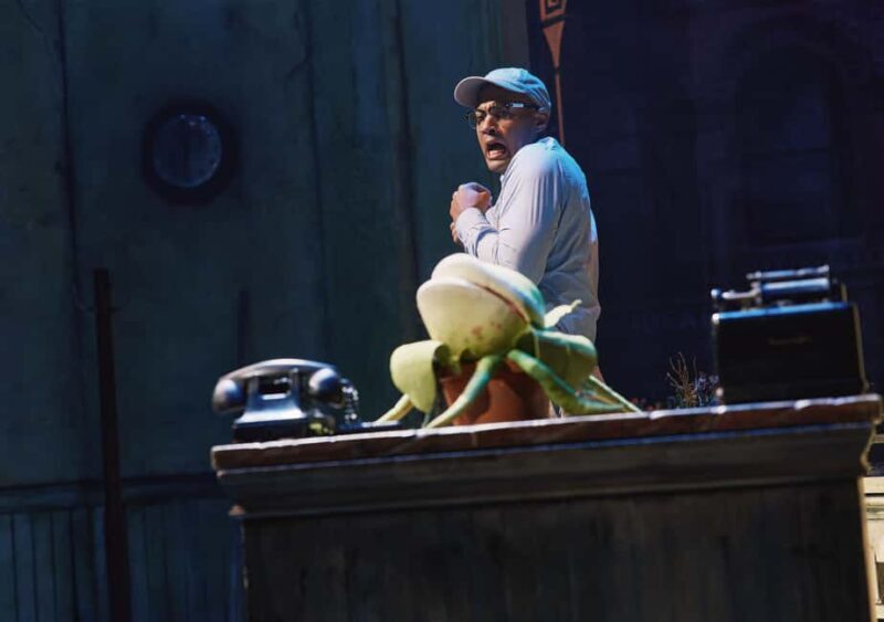 NYC: Little Shop of Horrors Off-Broadway Ticket - Practical Details for Visitors