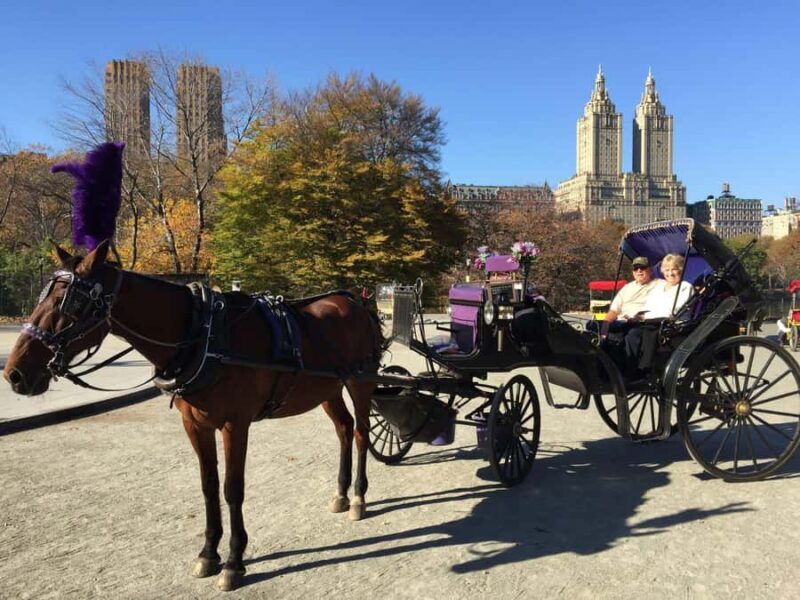 NYC: Long Central Park Horse Carriage Ride with Photo Stop - Key Points
