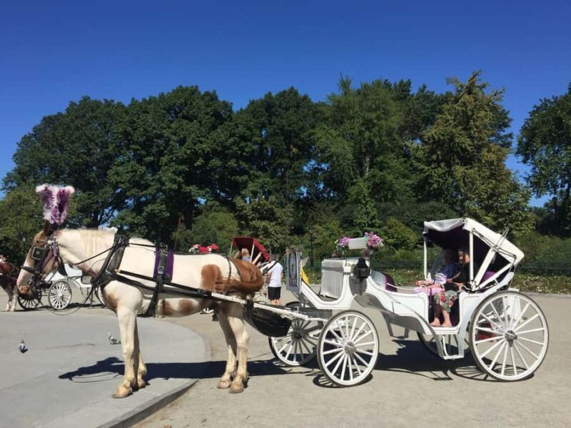 NYC: Long Central Park Horse Carriage Ride with Photo Stop - A Close Look at the Itinerary and Experience