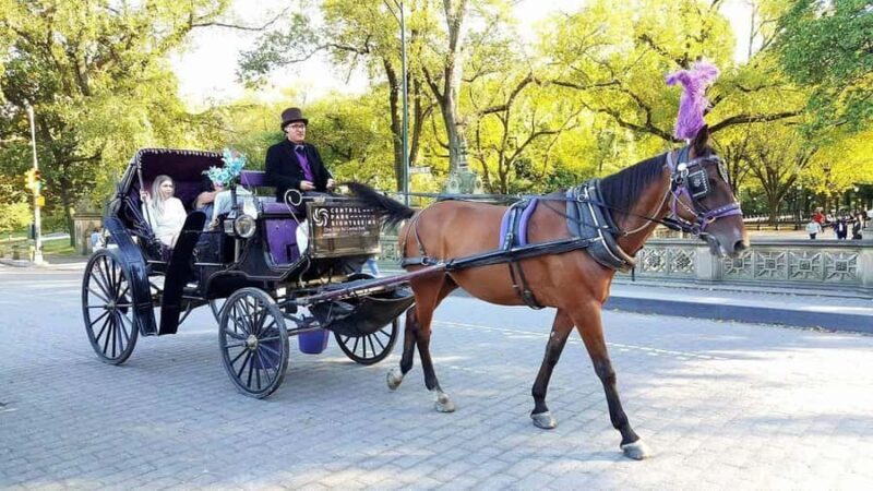 NYC: Long Central Park Horse Carriage Ride with Photo Stop - Who Will Love This Experience?