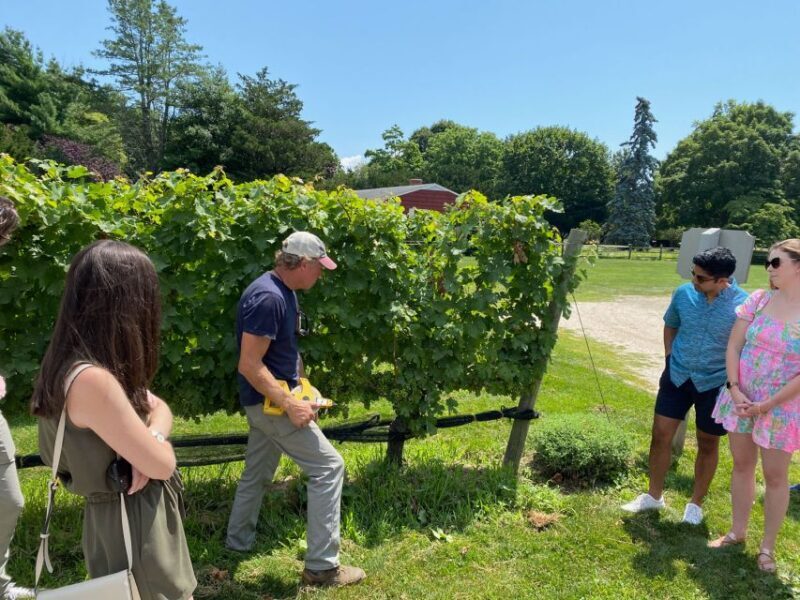 NYC: Long Island Sommelier-Guided Wine Tasting Tour - Overview of the Experience