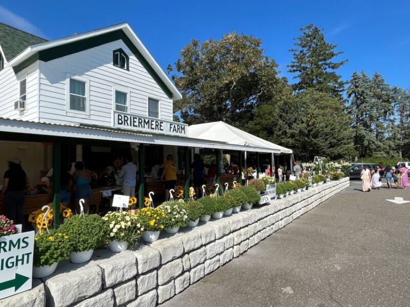 NYC: Long Island Sommelier-Guided Wine Tasting Tour - The Value of a Guided, All-Inclusive Day