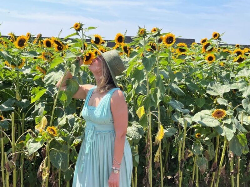NYC: Long Island Sommelier-Guided Wine Tasting Tour - Practical Tips for Participants