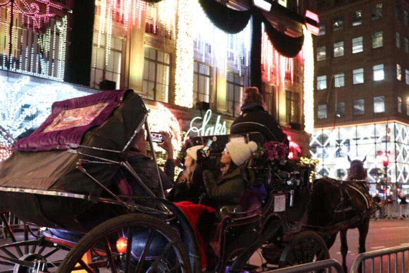 NYC: Magical Christmas Lights Carriage Ride (Up to 4 Adults) - The Experience in Action: Authentic Guest Impressions
