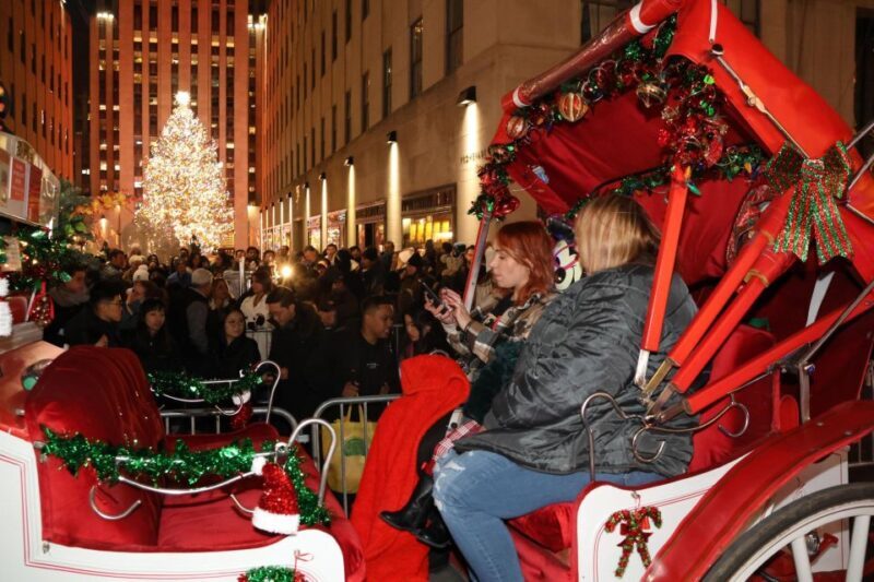 NYC: Magical Christmas Lights Carriage Ride (Up to 4 Adults) - Who Will Love This Experience?