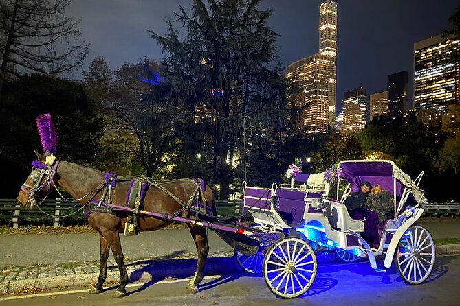 NYC : Magical Christmas Lights Private Horse Carriage Ride - Pricing and Value Consideration
