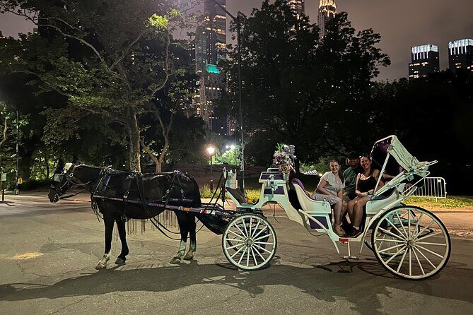 NYC : Magical Christmas Lights Private Horse Carriage Ride - Who Should Book This Tour?