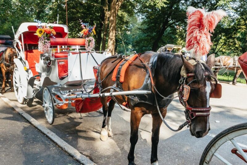 NYC MAGICAL NIGHT TIME RIDE Central Park/Rockefeller Center - FAQ